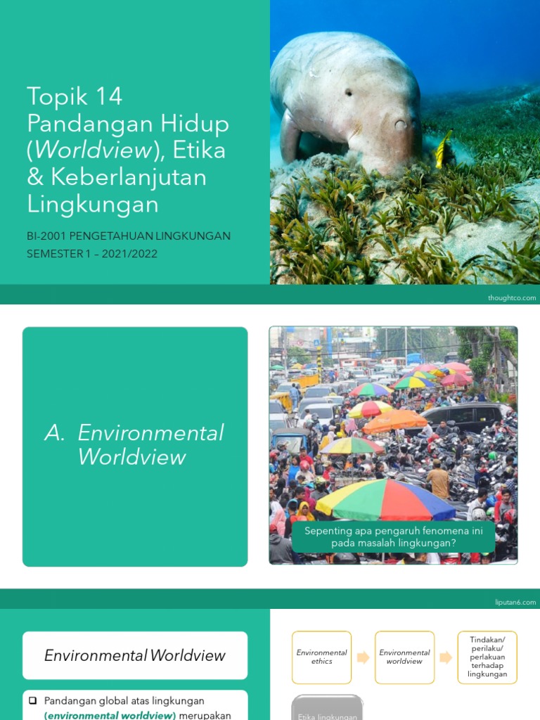 Environmental Worldview | PDF