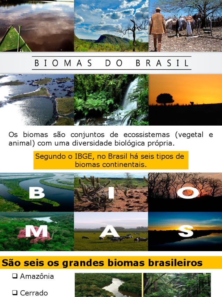 Biomas Do Brasil | PDF | Florestas | Habitat