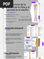 GRR EpifisisRadio | PDF | Mano | Osteoporosis
