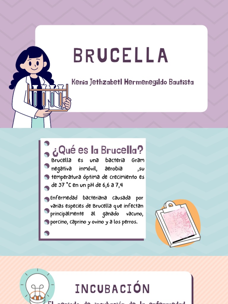 Brucella | PDF | Inmunología | Medicina CLINICA