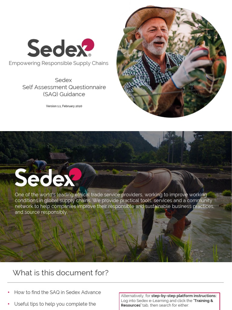 SAQ Guidance v1.1 EN | PDF | Supply Chain | Supply Chain Management