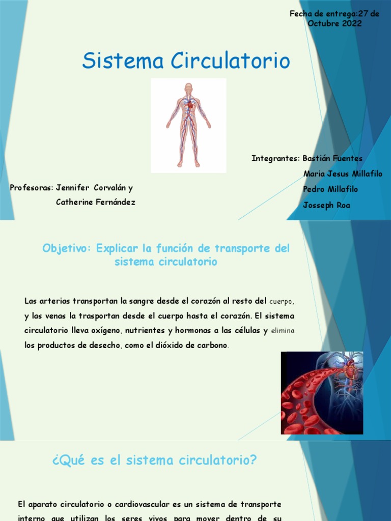 Sistema Circulaatorio Powepoint - PPTX (Solo Lectura) | PDF | Sistema ...