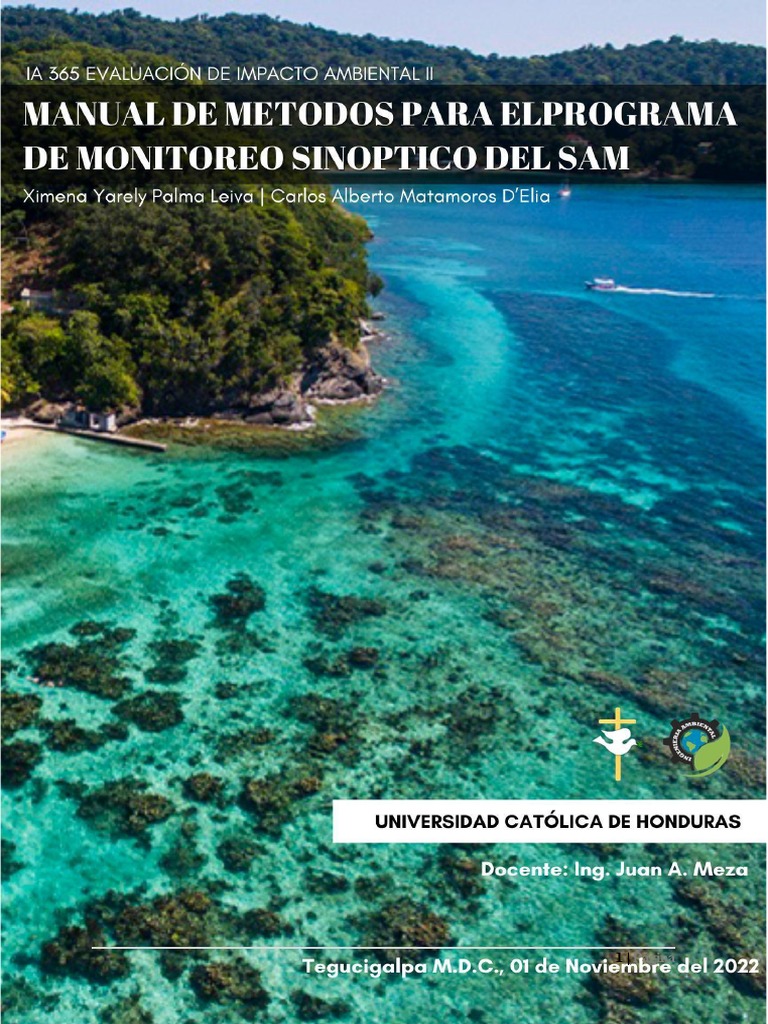 Resumen Del SAM | PDF | Arrecife de coral | Mangle
