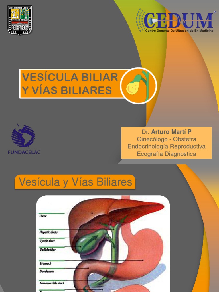 Vesícula Biliar y Vías Biliares | PDF | Vesícula biliar | Bilis