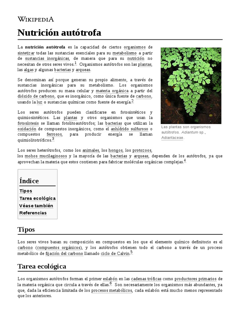Nutrición Autótrofa | PDF | Biología | Ecología de sistemas
