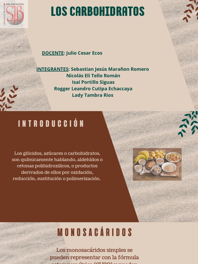 Los Carbohidratos | PDF | Carbohidratos | Química