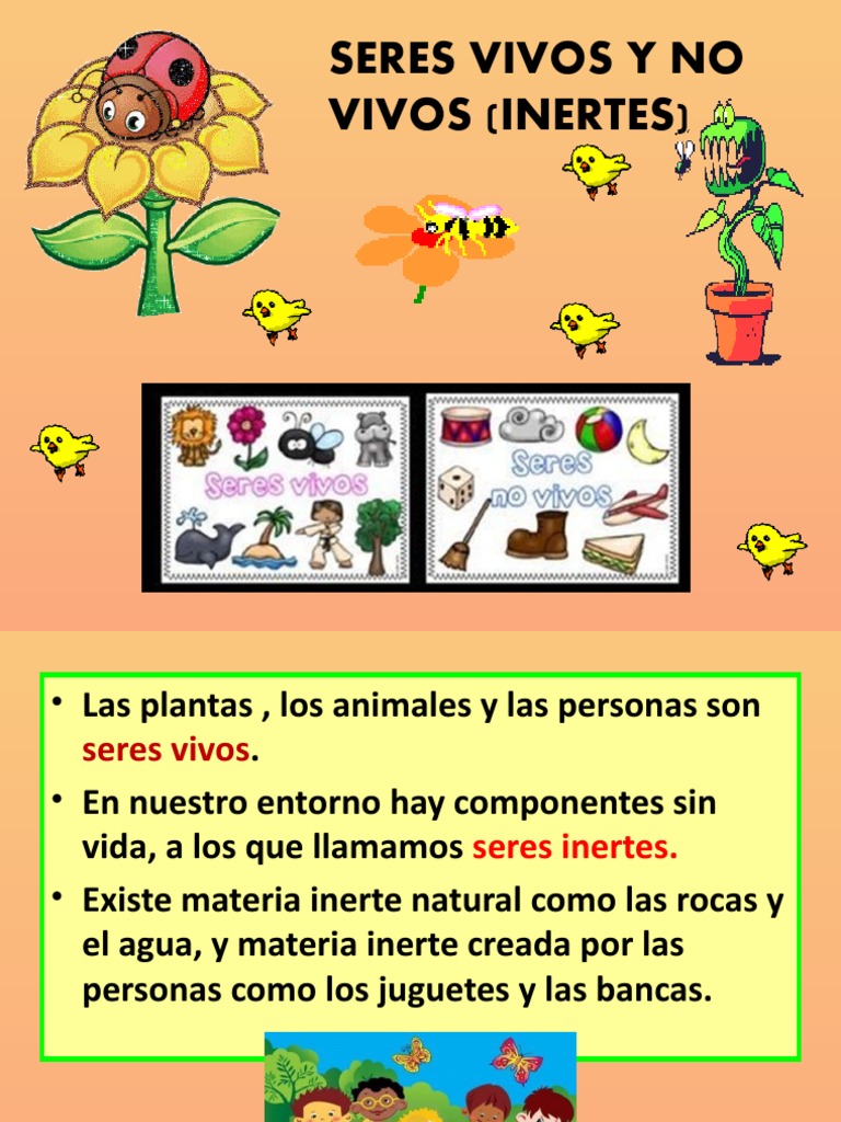 1° PPT Los Seres Vivos y No Vivos | PDF