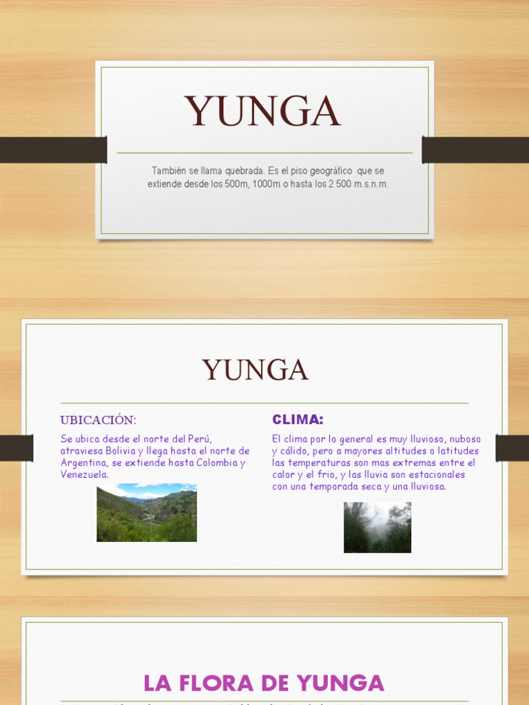Flora y Fauna de la Región Yunga | PDF | Hogar, jardinería y bricolaje