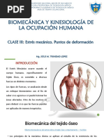 Test de Adams | PDF | Escoliosis | Especialidades Medicas