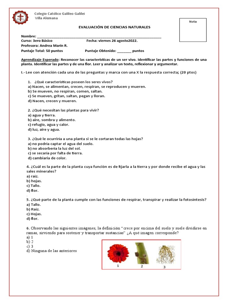 Evaluación Las Plantas y Sus Partes | PDF | Flores | Plantas