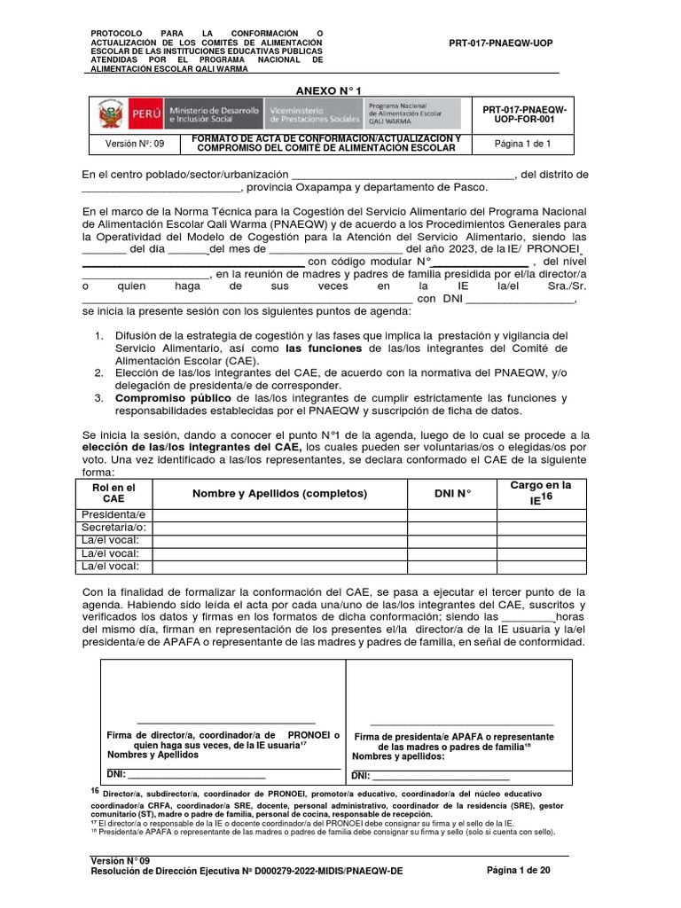 Formato de CAE 2023 | PDF | Privacidad de la información