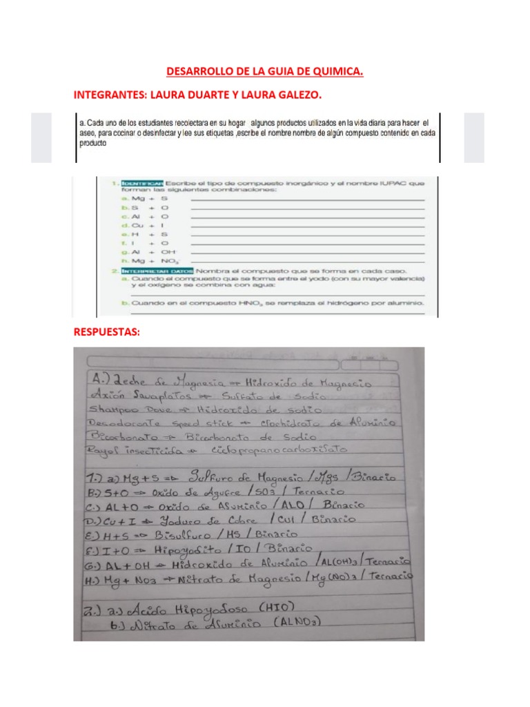 Desarrollo De La Guia De Quimica Pdf Compuestos Químicos Sal