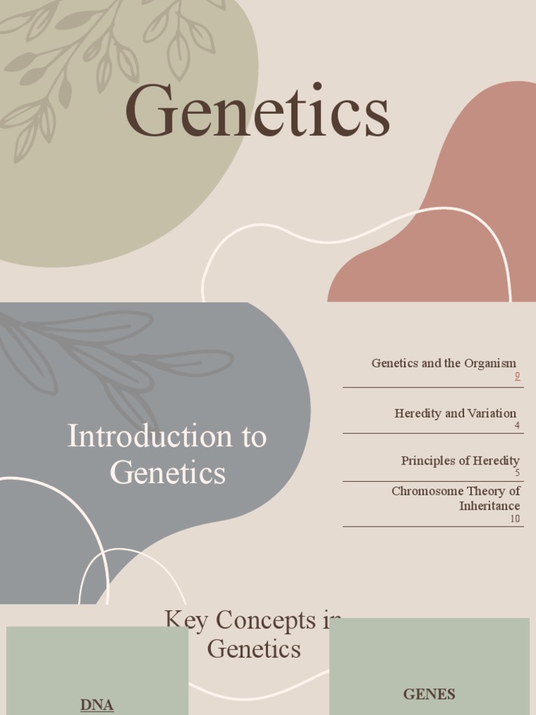 Introduction To Genetics Pdf Ploidy Dominance Genetics