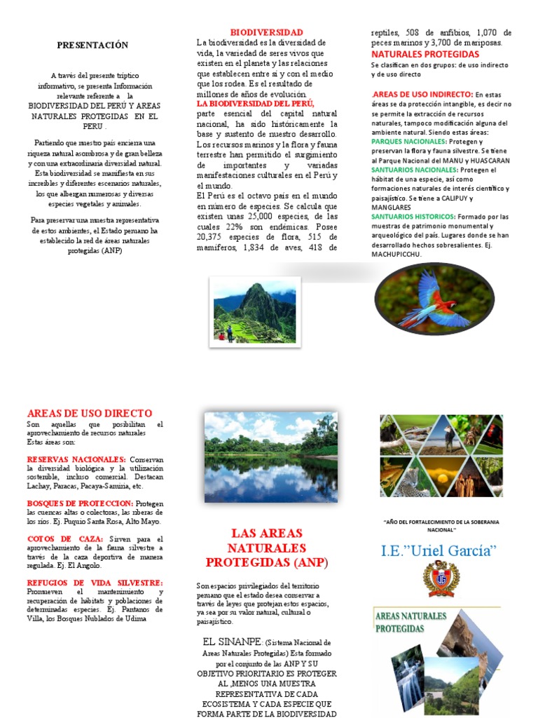 Triptico Mathias | PDF | Biodiversidad | Perú