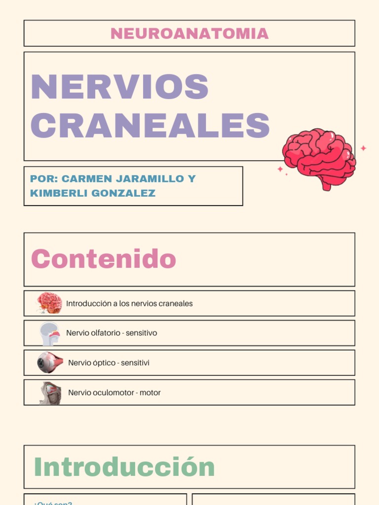 Nervios Cranéales | PDF | Nervio | Sistema nervioso