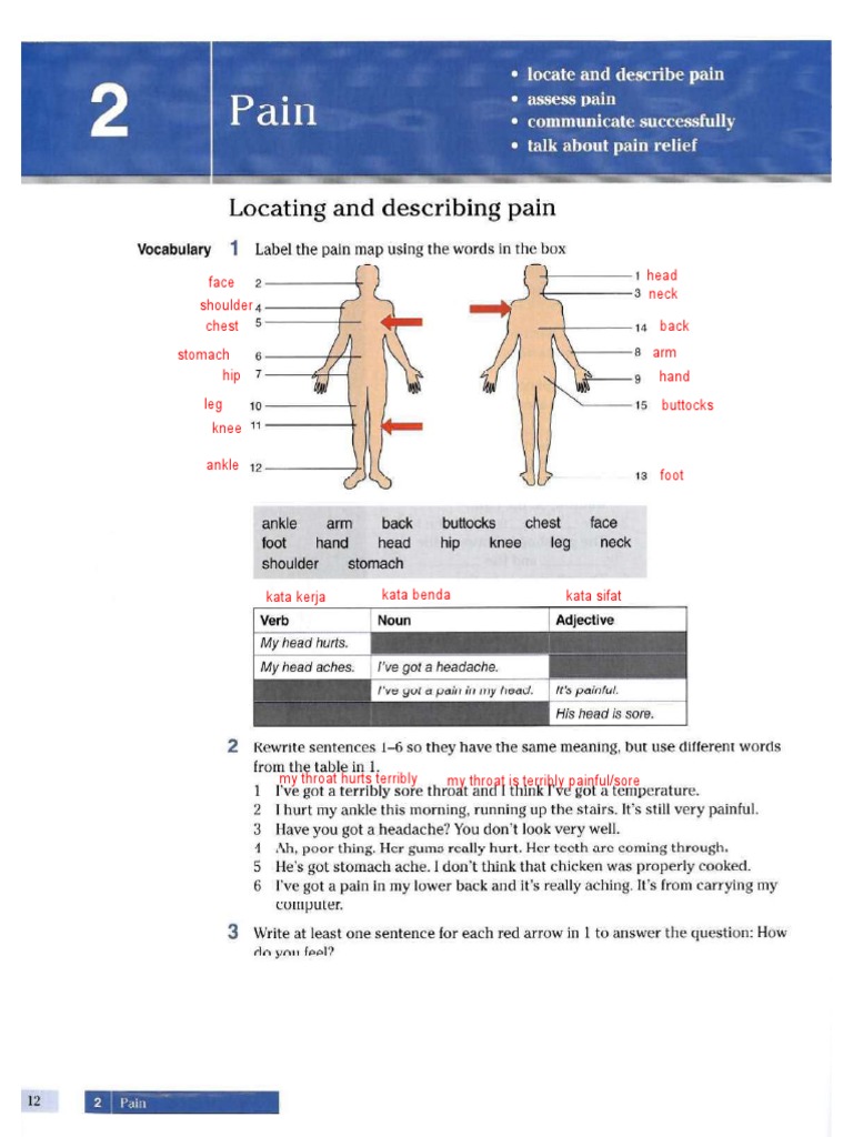 Pain and Describing Pain1 | PDF
