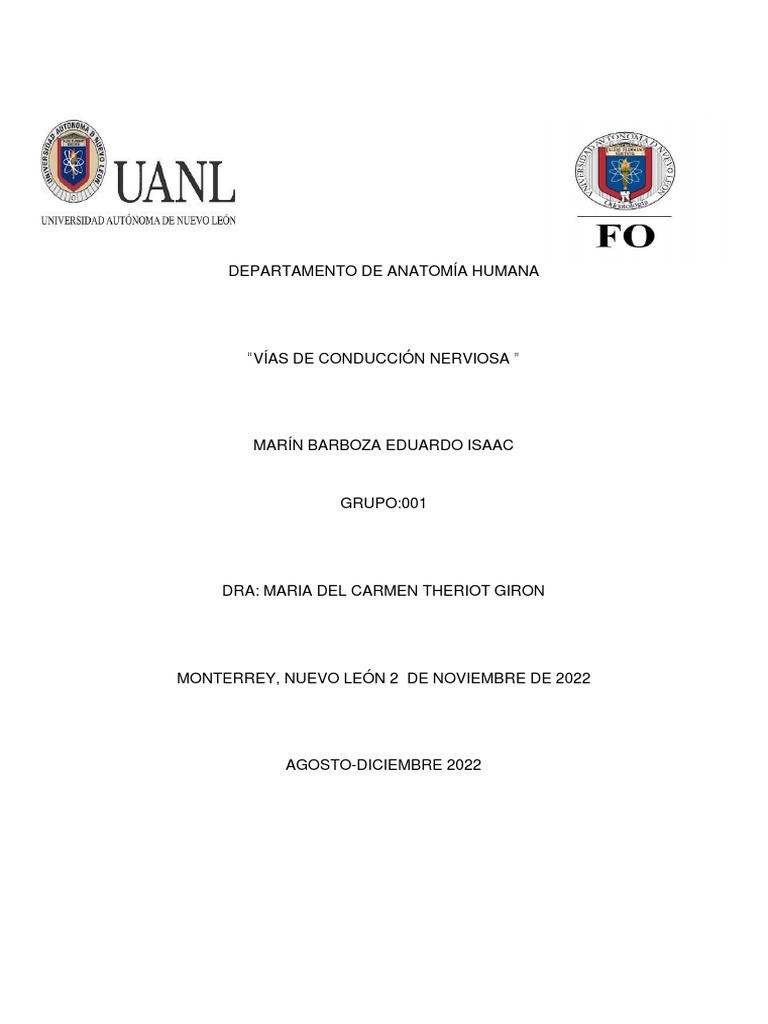 Resumen VÍAS de Conducción Nerviosa EDUARDO ISAAC MARIN BARBOZA | PDF ...