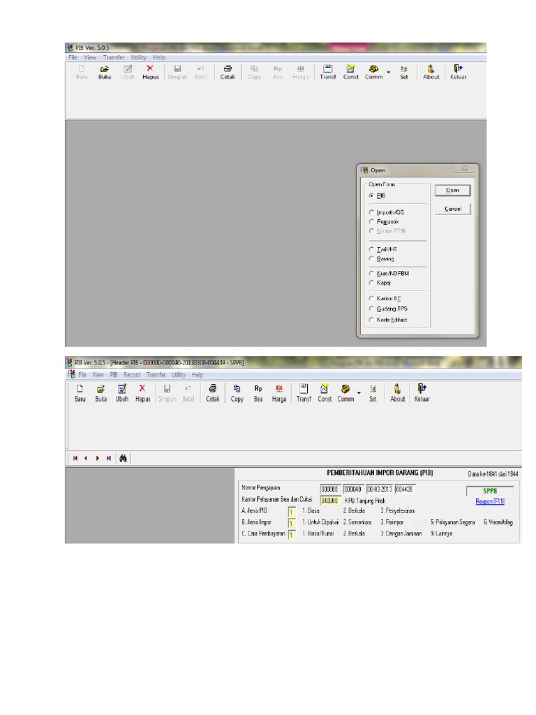 Pengisian PIB Dan PEB | PDF