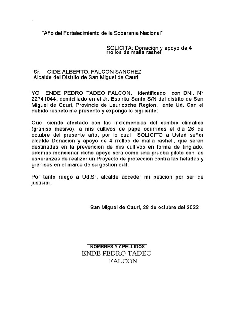 Modelo de Solicitud | PDF