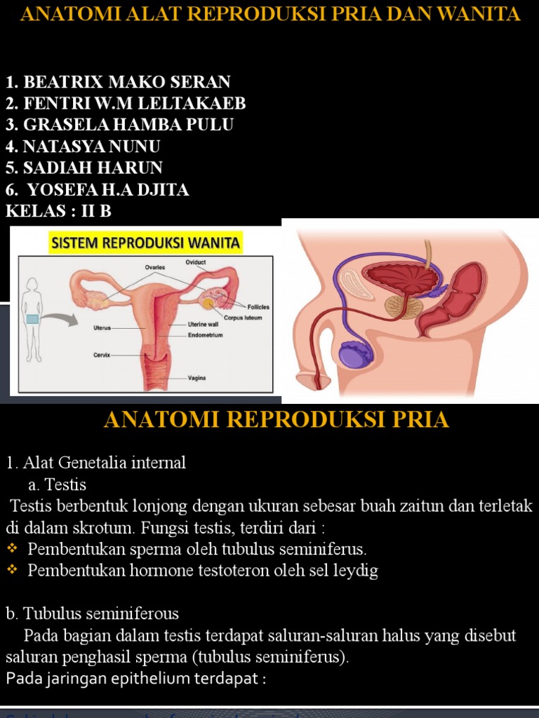 Kel. 7 Ibu Serli | PDF