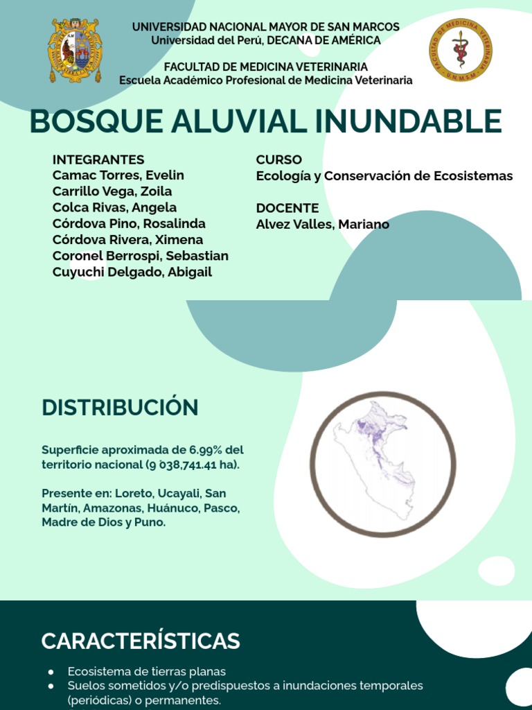Bosque Aluvial Inundable | PDF