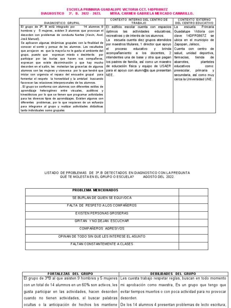 Diagnosticos Grupal 3.B Final | PDF