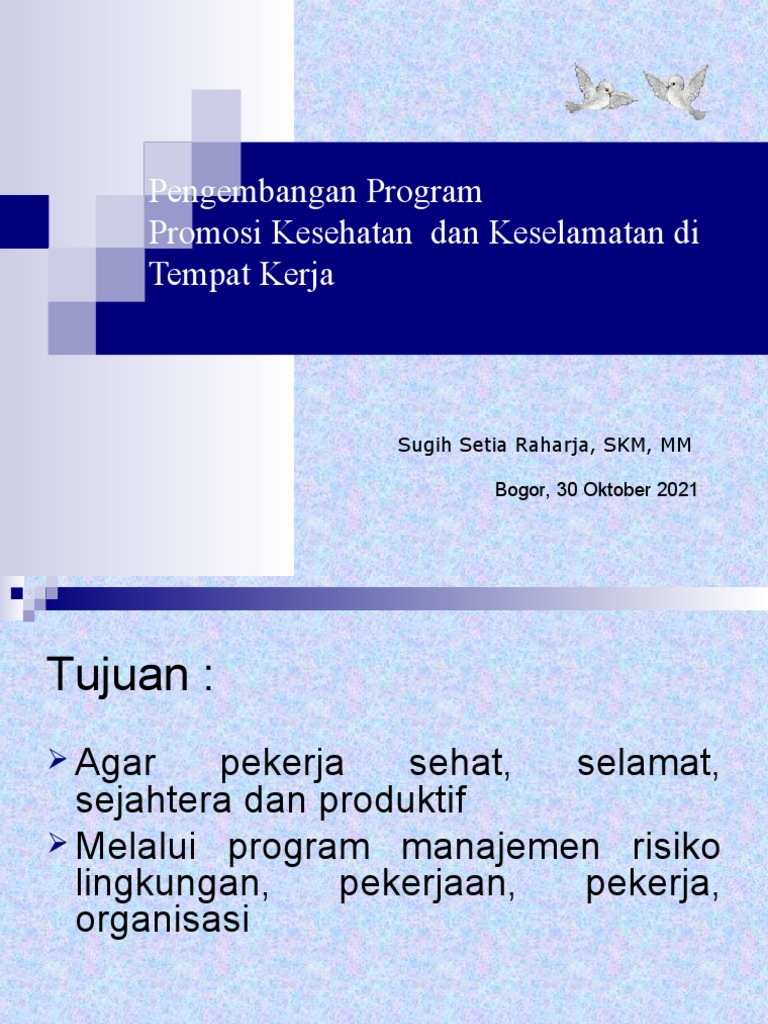 Program Promosi K3 | PDF