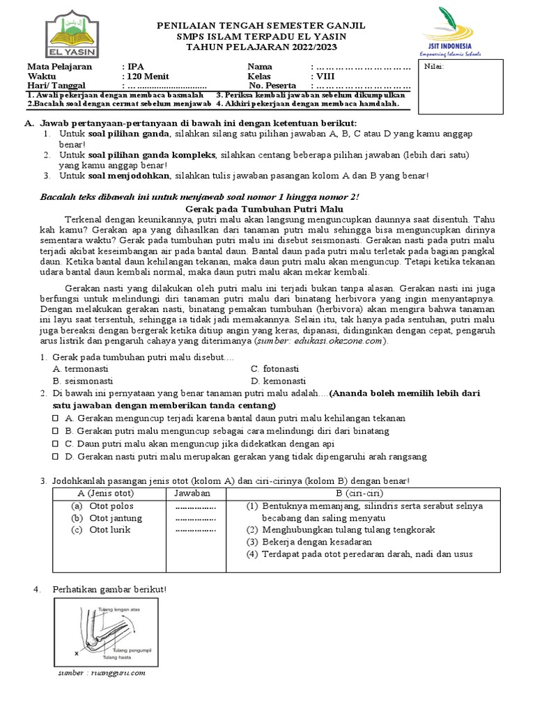2 Soal PTS Kelas 8 | PDF