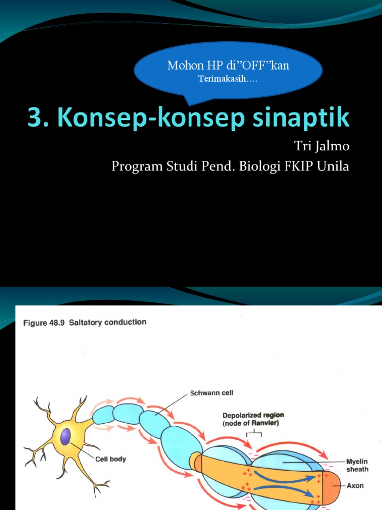 Konsep Sinaptik | PDF