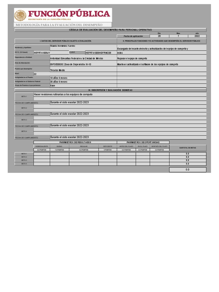 Ejemplo Cedula de Evaluación Del Desempeño - Metas Individuales | PDF | Servidor (Computación)