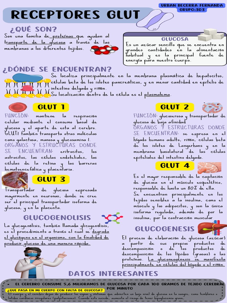 Receptores Glut | PDF | Insulina | Glucosa