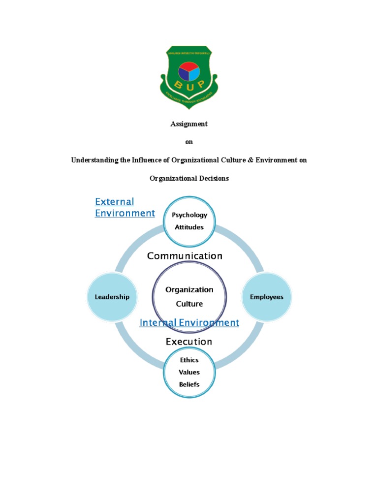 MGT & OB Assignment | PDF | Organizational Culture | Zappos