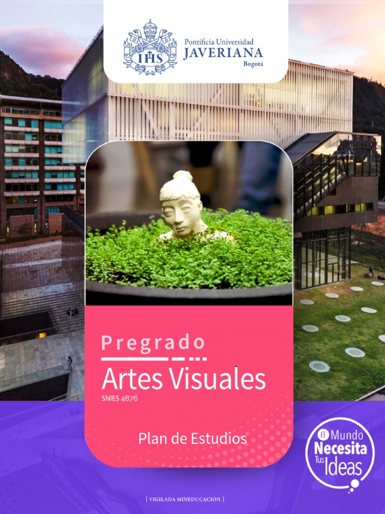 Plan de Estudios Carrera de Artes Visuales Septiembre 2021 | PDF ...