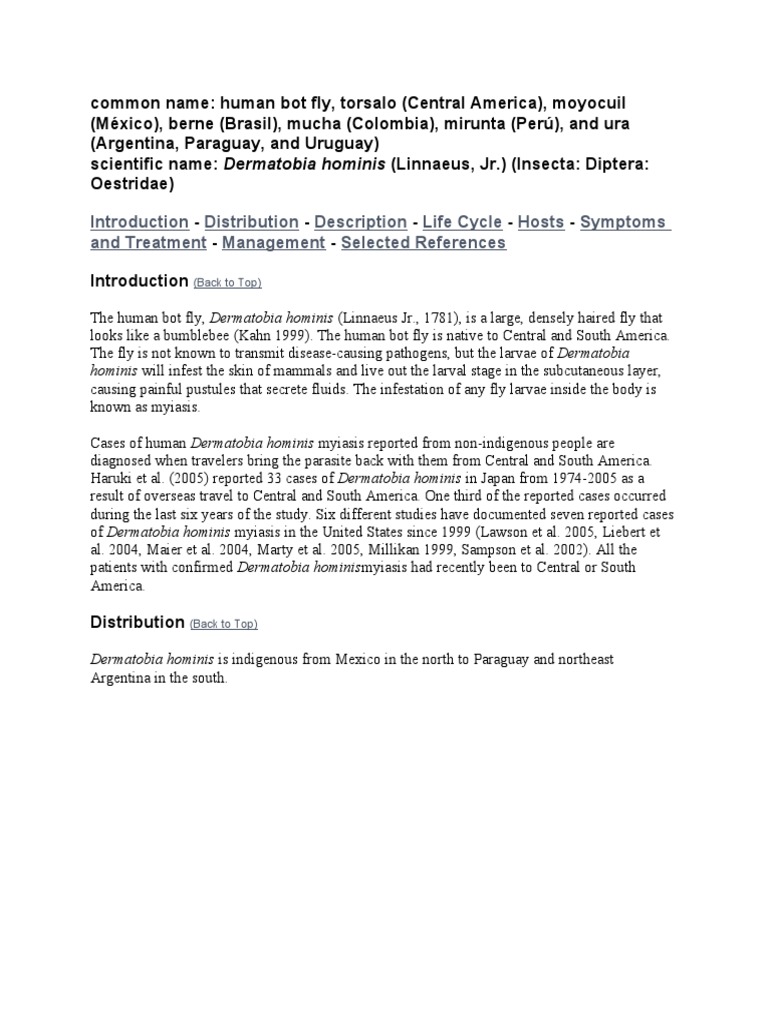 Human Bot Fly | PDF | Fly | Pupa