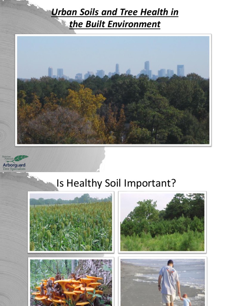 Urban Soils and Tree Health - David Dechant | PDF | Soil | Trees