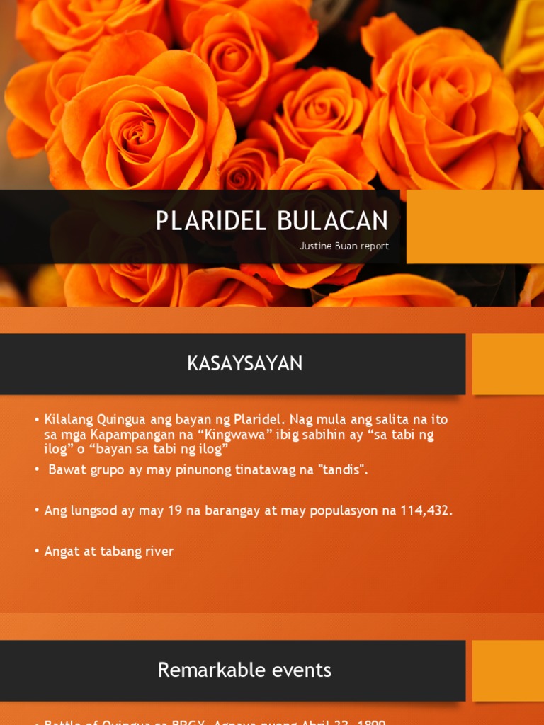 Report Plaridel Bulacan | PDF