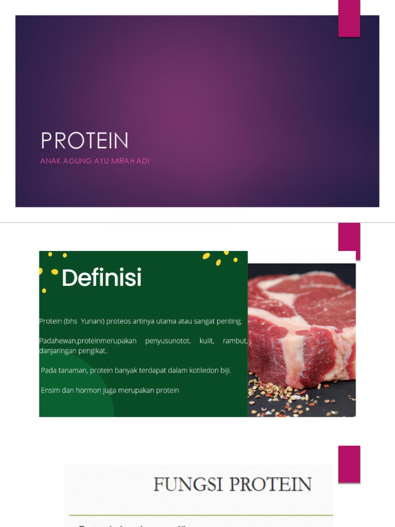 PROTEIN | PDF