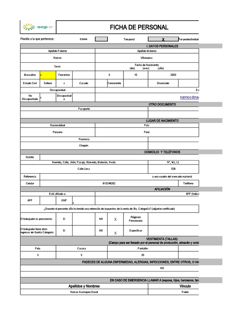 FORMATO 8 - Ficha de Ingreso de Personal-DIANA NAMOC | PDF | Microsoft ...