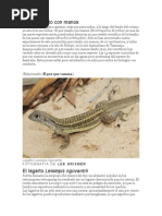 Pez rosado con manos: características y hábitat | PDF | Pescado | Zoología