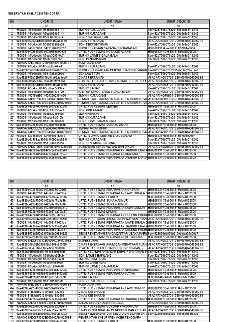RPT List Data Rekon Id Excel | PDF