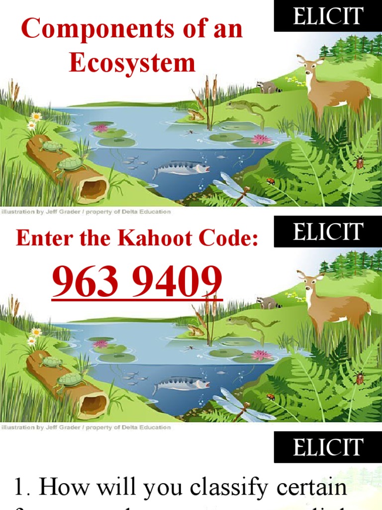Understanding Ecological Relationships | PDF | Ecosystem | Ecology