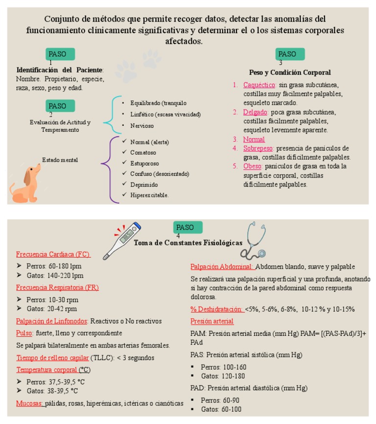 Examen General Físico en Perros y Gatos | PDF | Presión sanguínea | Gatos