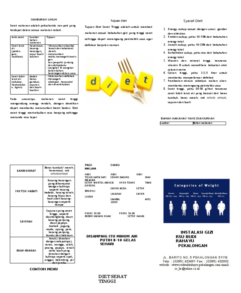 Panduan Diet Tinggi Serat | PDF