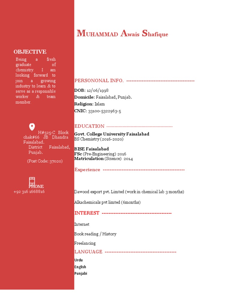 Awais Shafique CV | PDF | Technology & Engineering | Business