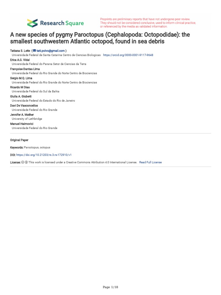 A New Species of Pygmy Paroctopus Cephalopoda Octo | PDF | Cthulhu ...