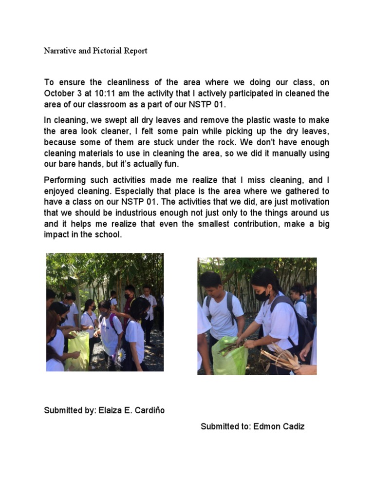 Narrative and Pictorial Report | PDF | Language Arts & Discipline