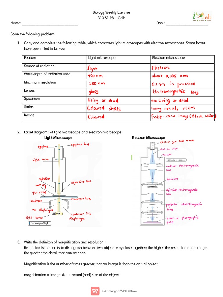 G10 PB WE CELL STRUCTURE BIO Fixx Bangettt Banget Yaaaa | PDF | Cell ...
