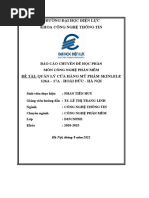 Example Uth Report | PDF