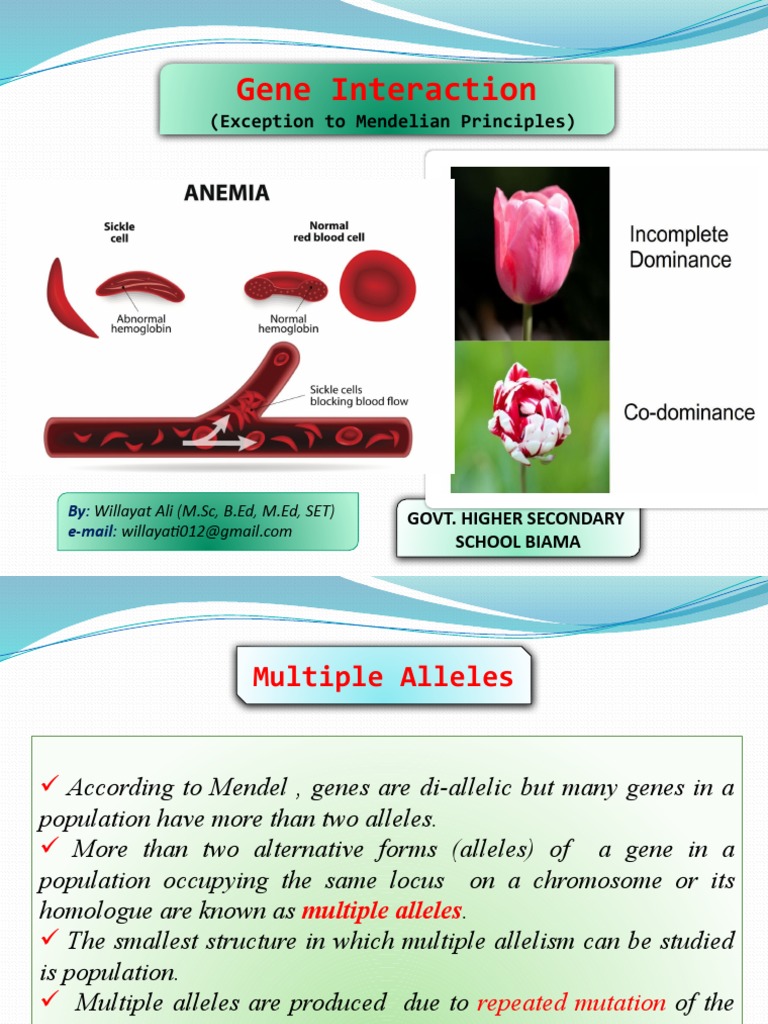 Gene Interaction: Understanding Exceptions to Mendelian Principles ...