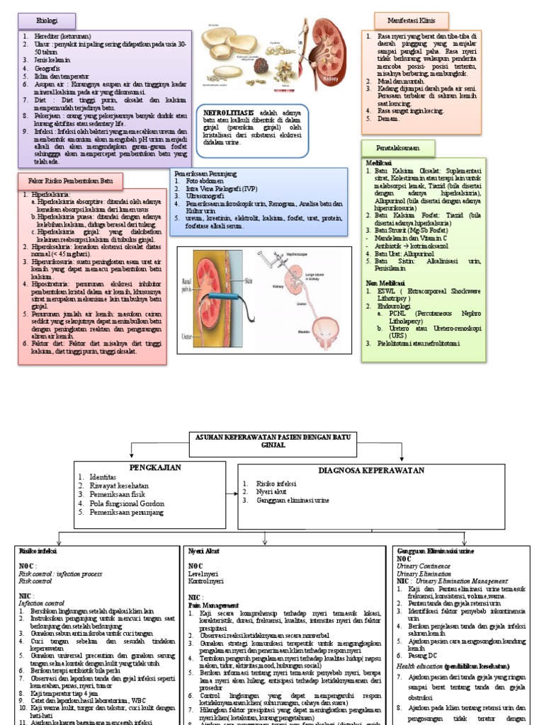 Woc Batu Ginjal | PDF